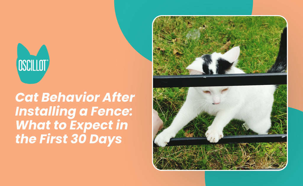 Cat Behavior After Installing a Fence: What to Expect in the First 30 ...
