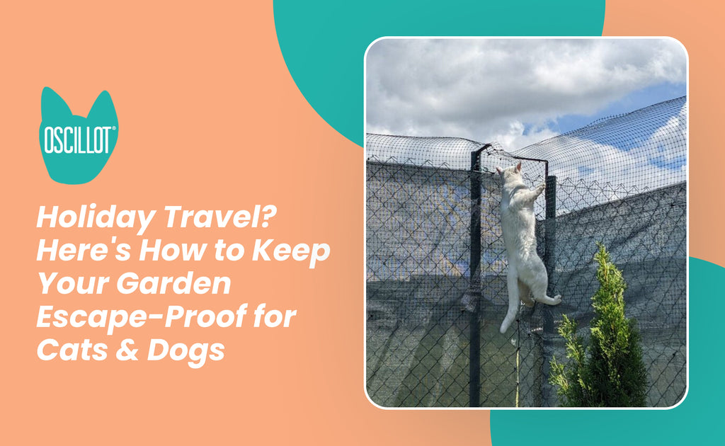 Holiday Travel? Here's How to Keep Your Garden Escape-Proof for Cats ...