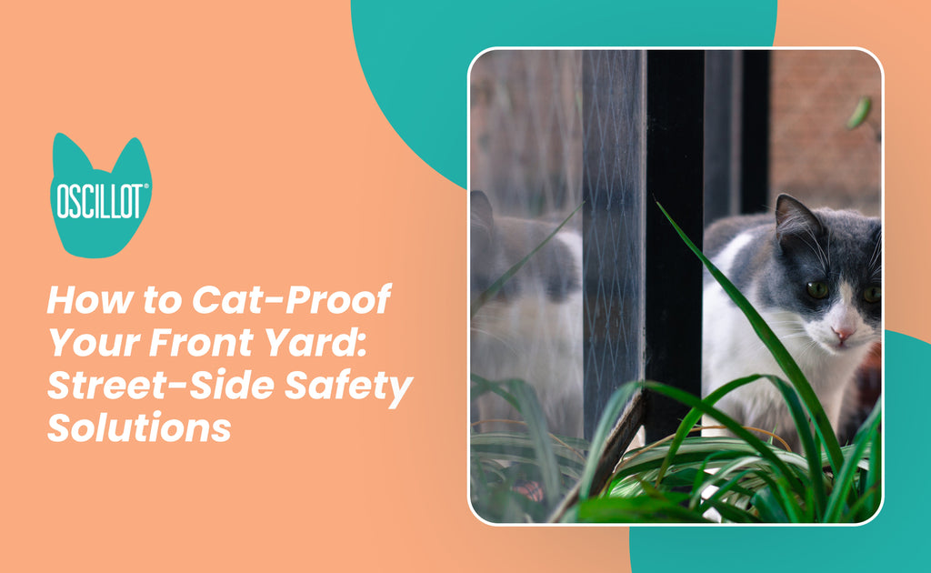 How to Cat-Proof Your Front Yard: Street-Side Safety Solutions – Cat ...